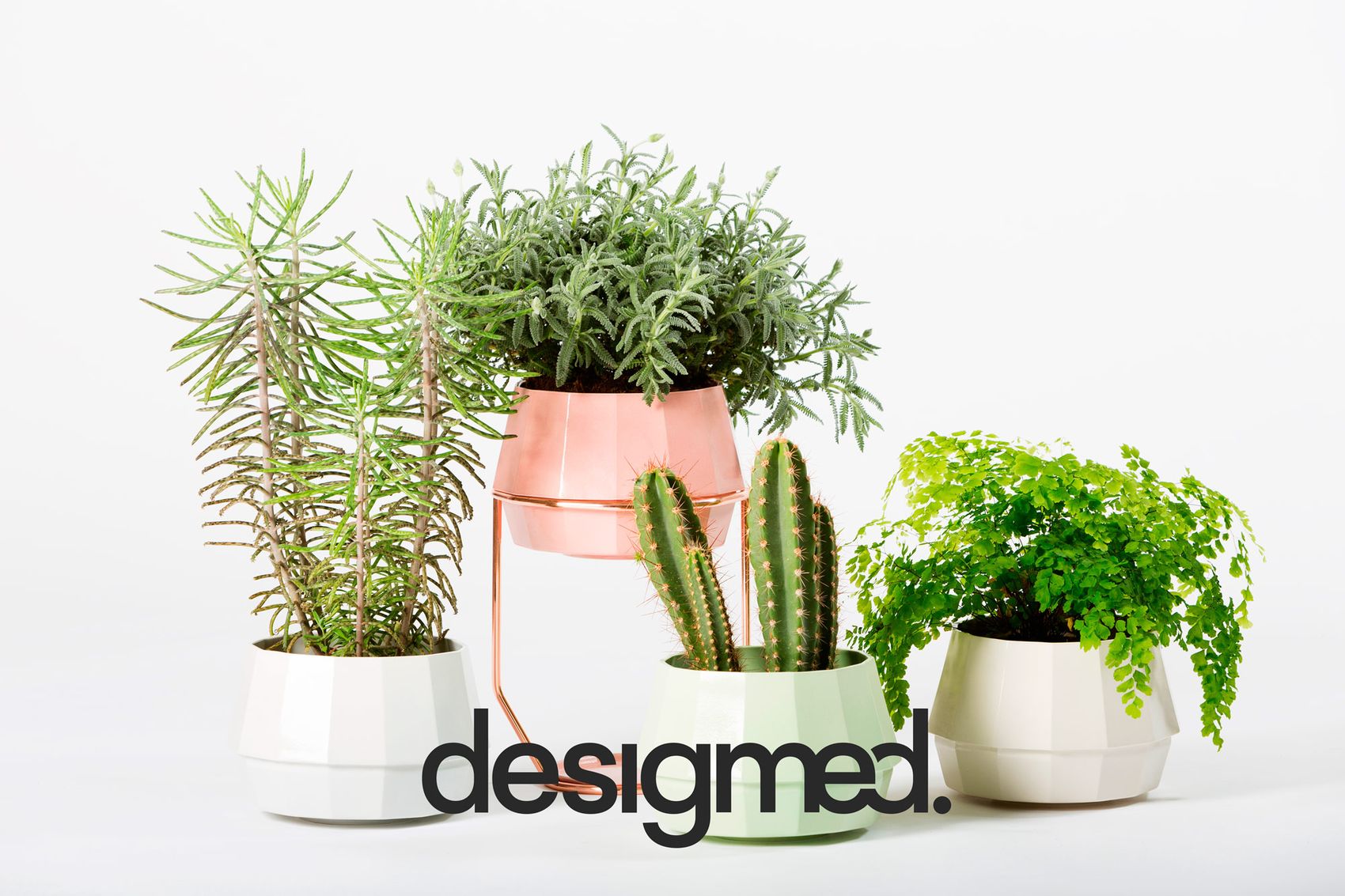 Desigmed — DOMO-A | Art direction & graphic design